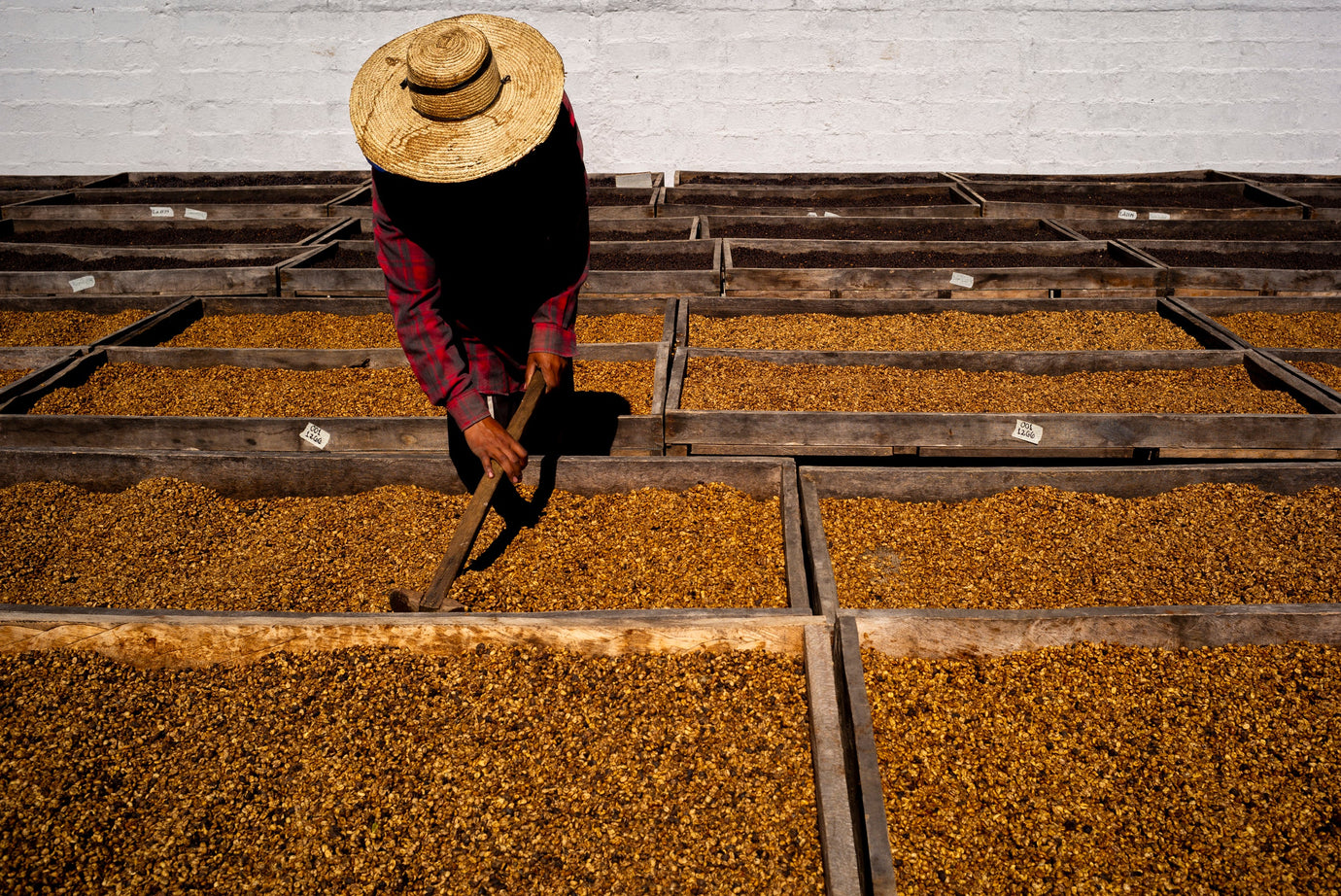 Terres de café Réunion | Café de spécialité à la Réunion